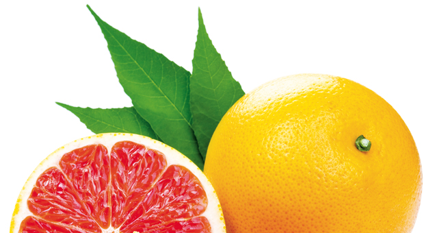 Pompelmo | infoSOStenibile